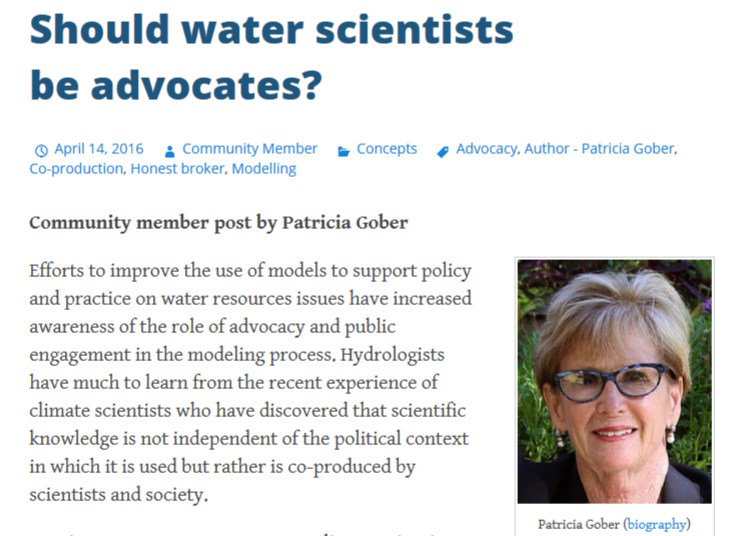 Advocate or Honest Broker? – Integration and Implementation Insights