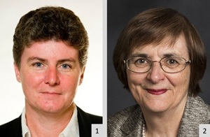 Sharing mental models is critical for interdisciplinary collaboration ...