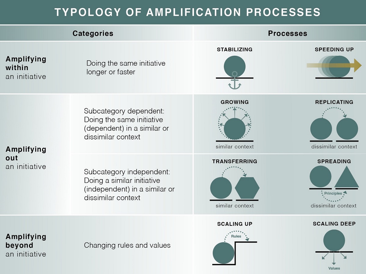 How can we amplify impact to foster transformative change ...