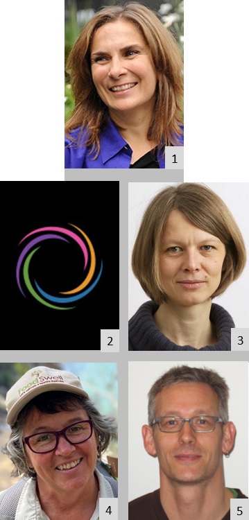 Transdisciplinary integration: A multidimensional interactive process ...