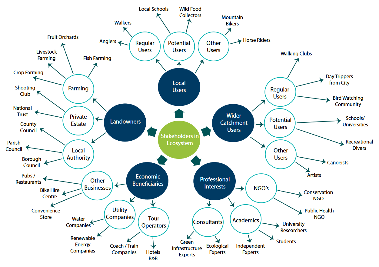 Bammerstakeholder Mind Mapdurham Integration And Implementation 2002