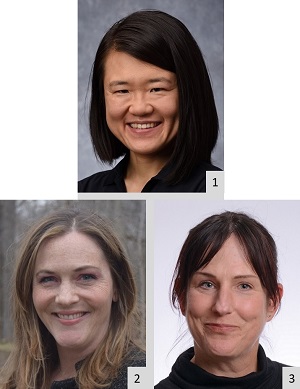 An effective way to organize research coordination meetings ...