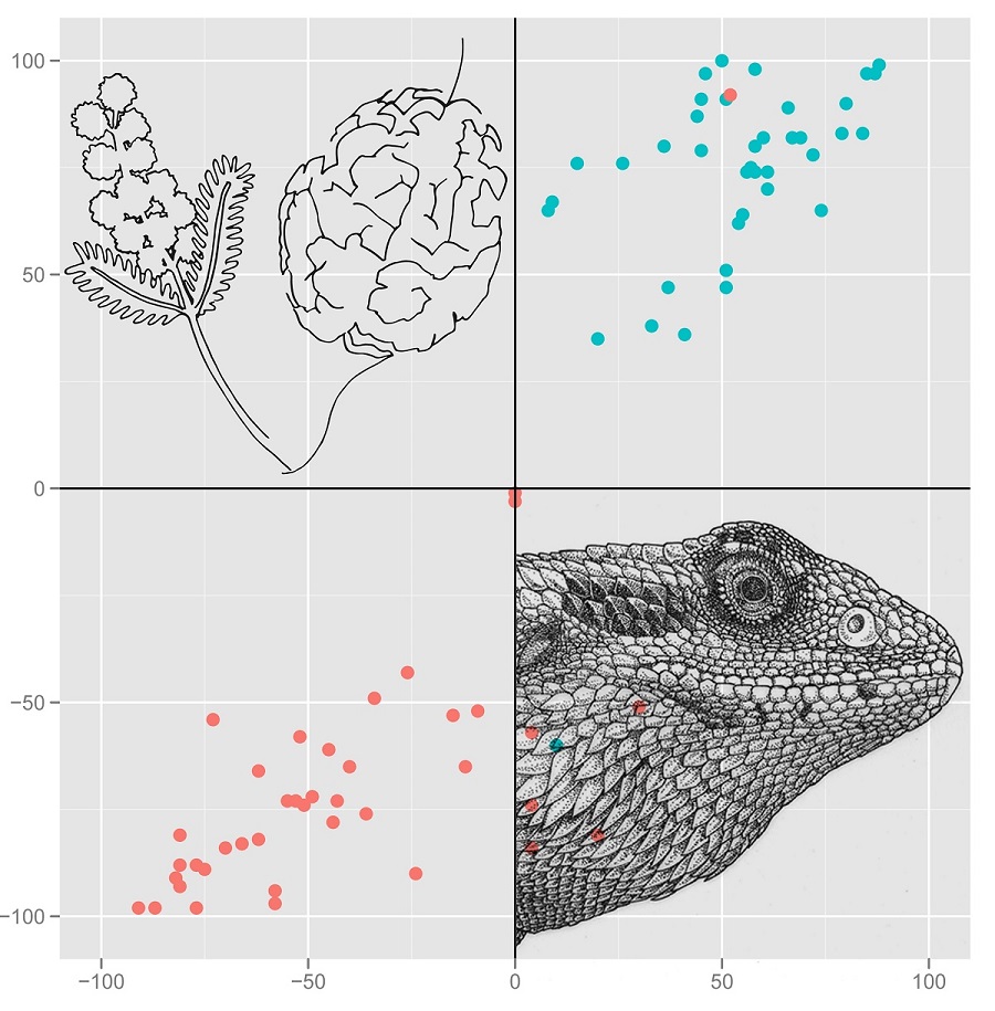 Eight tips for collaborations between researchers and visual artists ...